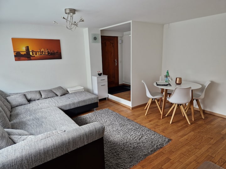 Schöne Wohnung Mit Terrasse, Nähe Basel, Zentral - Bazel