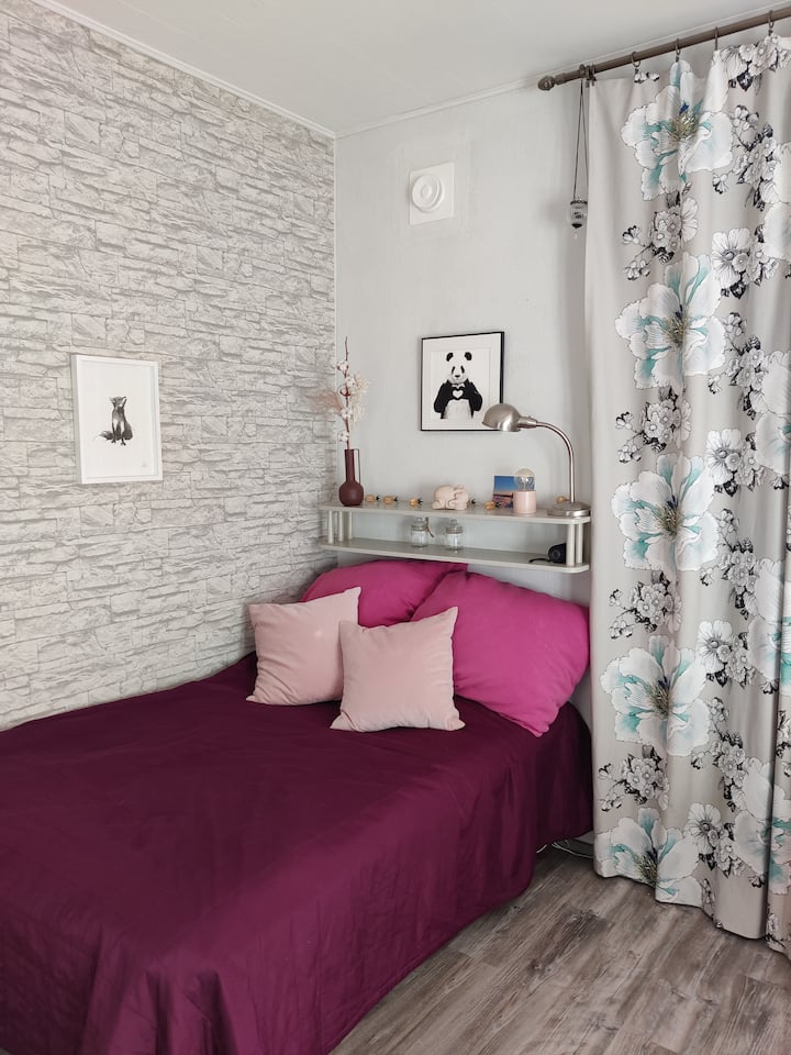 Charming Studio In Historic Jugend Building - Helsinki