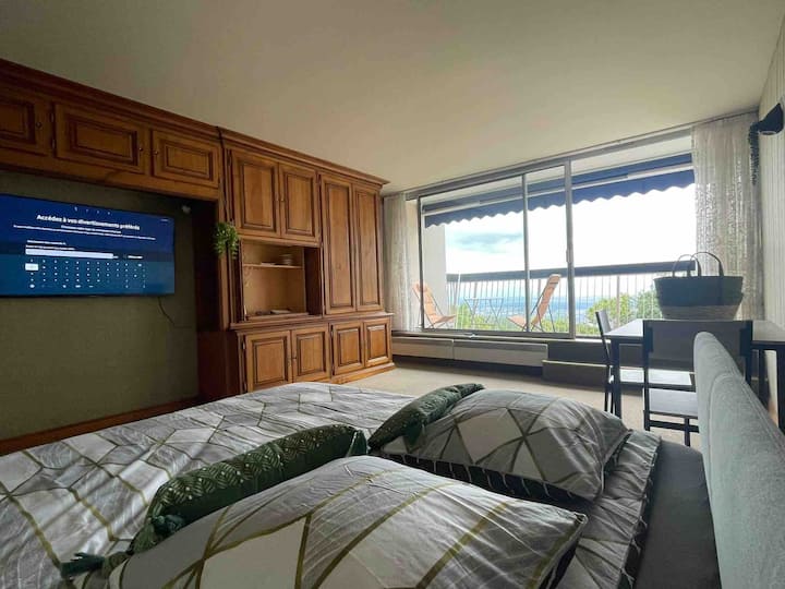 Panorama : Studio Privé Balcon Avec Vue Magnifique - Kaysersberg
