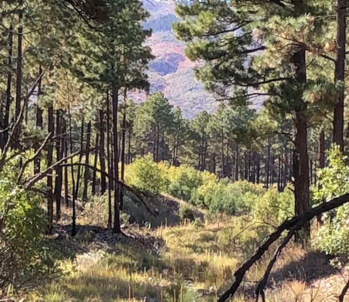 Wilderness Luxury, Mountains, Mesas & Dark Skies - Manzano Mountains State Park, Mountainair