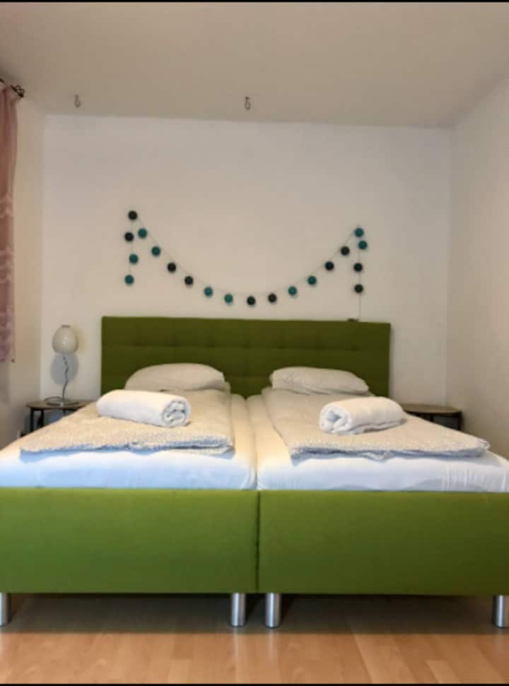 Big Cosy Flat With Balcony, Close To City Centre. - Wien