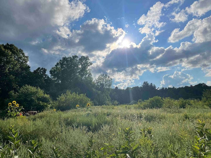 Beautiful Farm In Port Dover - Port Dover