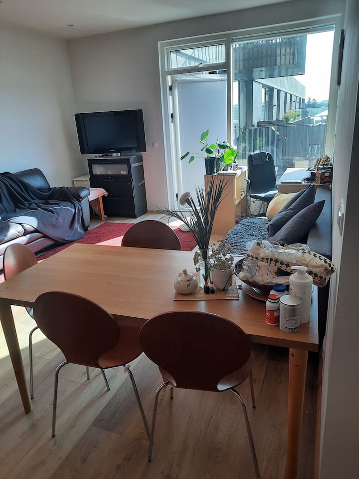 All You Need For Comfort 2 Km Away From Downtown - Reykjavík