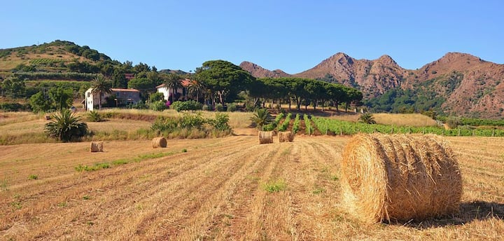 Farmhouse With Amazing Sea Views (First Floor) - Elba