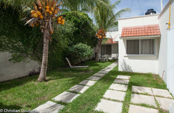 Great Location In The Heart Of Cozumel - Cozumel