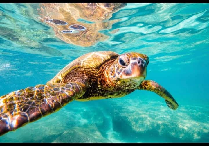 Slice Of Paradise - Cayman Islands