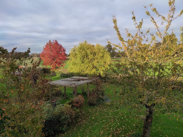 Appartement Meublé à Létabli - Armentières