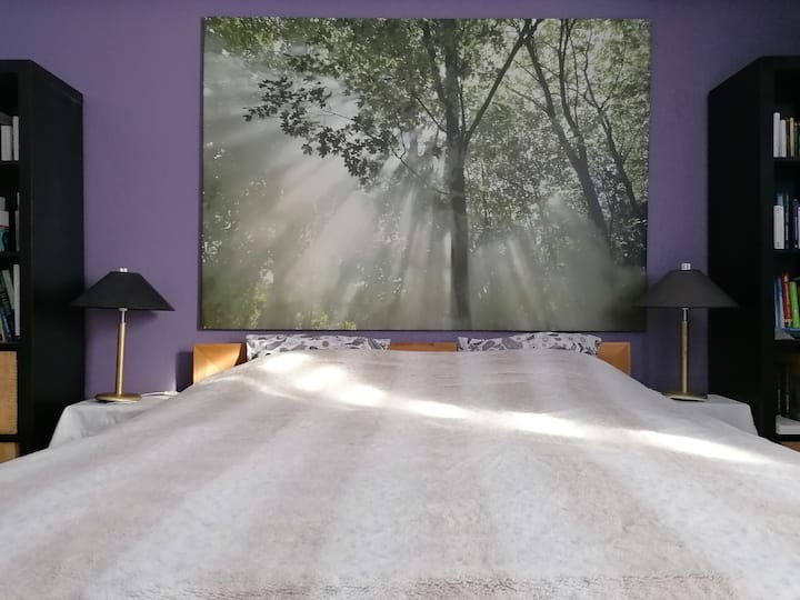 Chambre Zen - Saverne