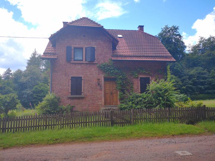 Haus Winterfell,pfälzerwald,4 Bis 10 Personen - Rheinland-Pfalz