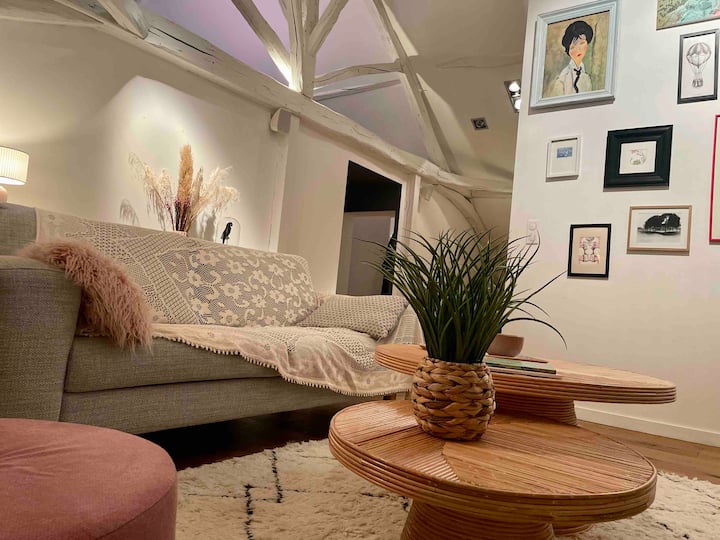 Loft De 110m² Dans Le Cœur Historique D'angers - Angers
