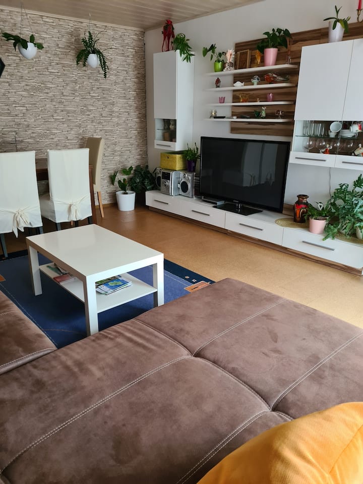 Ferienwohnung Im Nordschwarzwald - Bad Wildbad