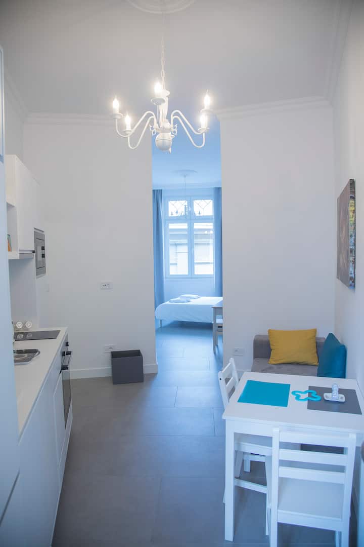 Brand New Sava Mala-city Center Apartment 30m2 - Belgrade