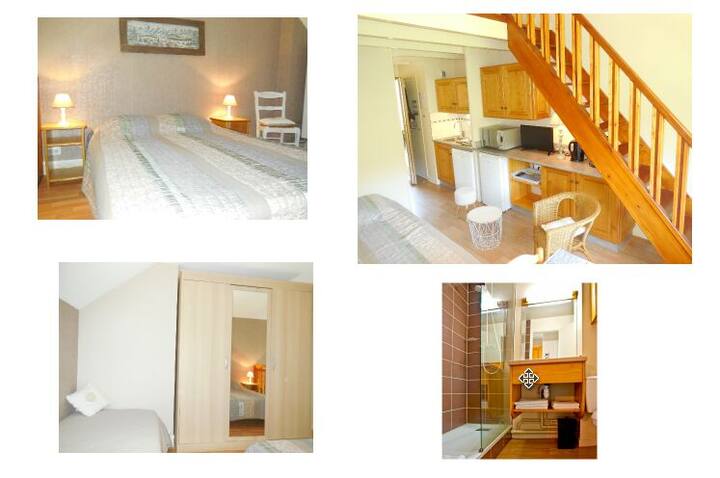 Joli Duplex 5 Personnes Super Lioran - Le Lioran (Super Lioran)