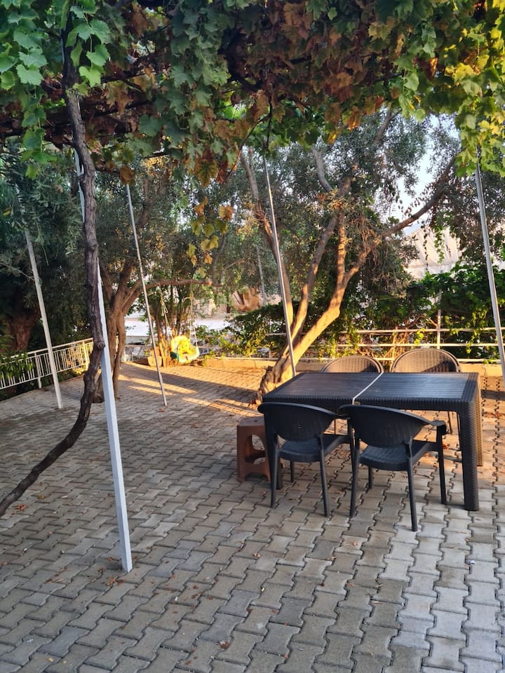 Demre 1+1 Rental/apart Rooms

1922 Zeytin Apart - Demre