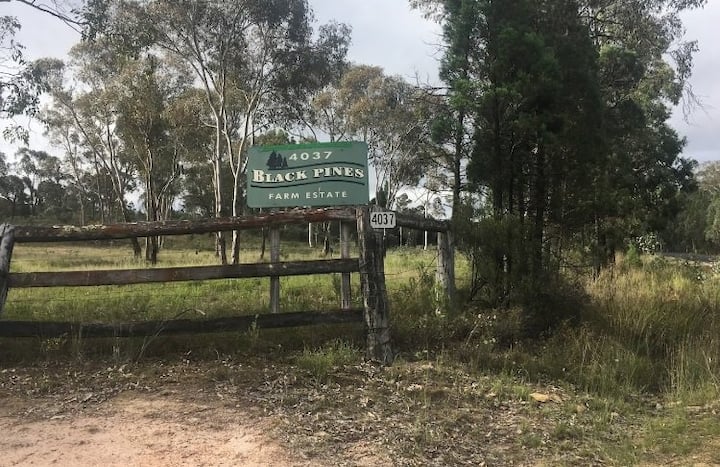 Black Pines Farm Estate - Rylstone
