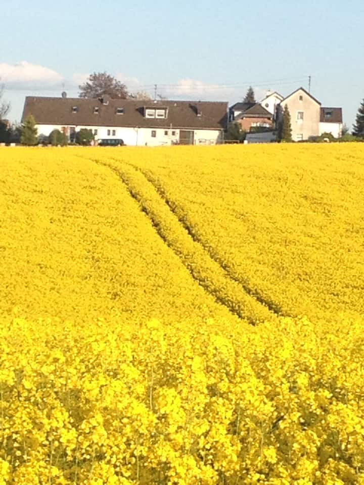Wohnen Auf Dem Land, Nahe Der Stadt - Bonn