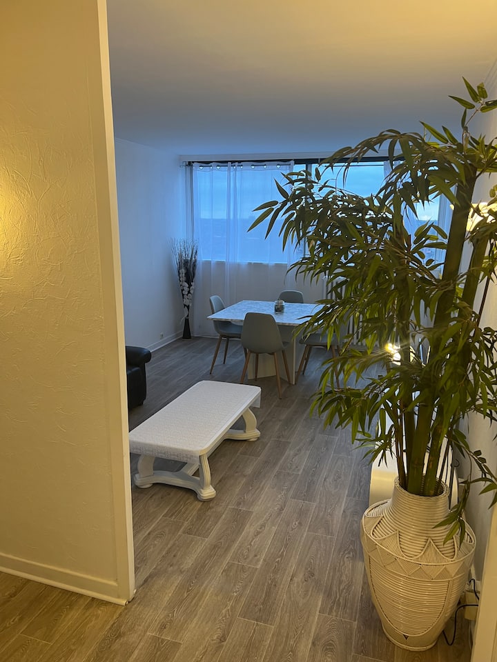 Appartement Haut Standing Région Lilloise - Croix