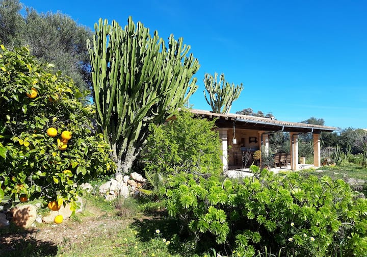 Traum Finca Für Zwei + Pool Finca-ses-salines Com - Campos