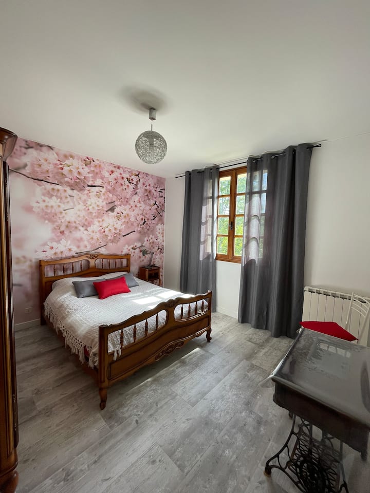 Maison "Canti Quant Plaou" - Foix