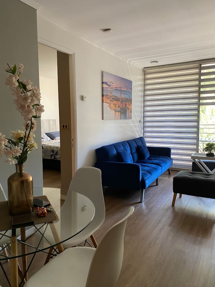 Hermoso Apartamento Mejor Ubicación Providencia - Providencia