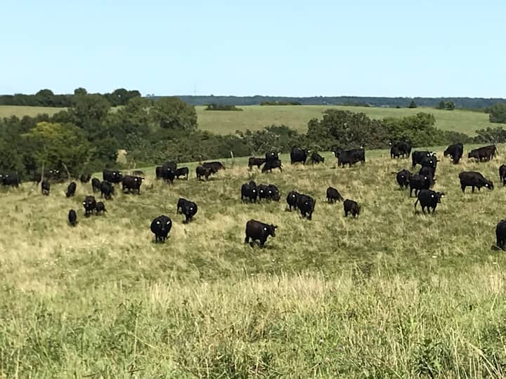 6 Best Ranches To Stay In Iowa, USA - Updated 2025 | Trip101