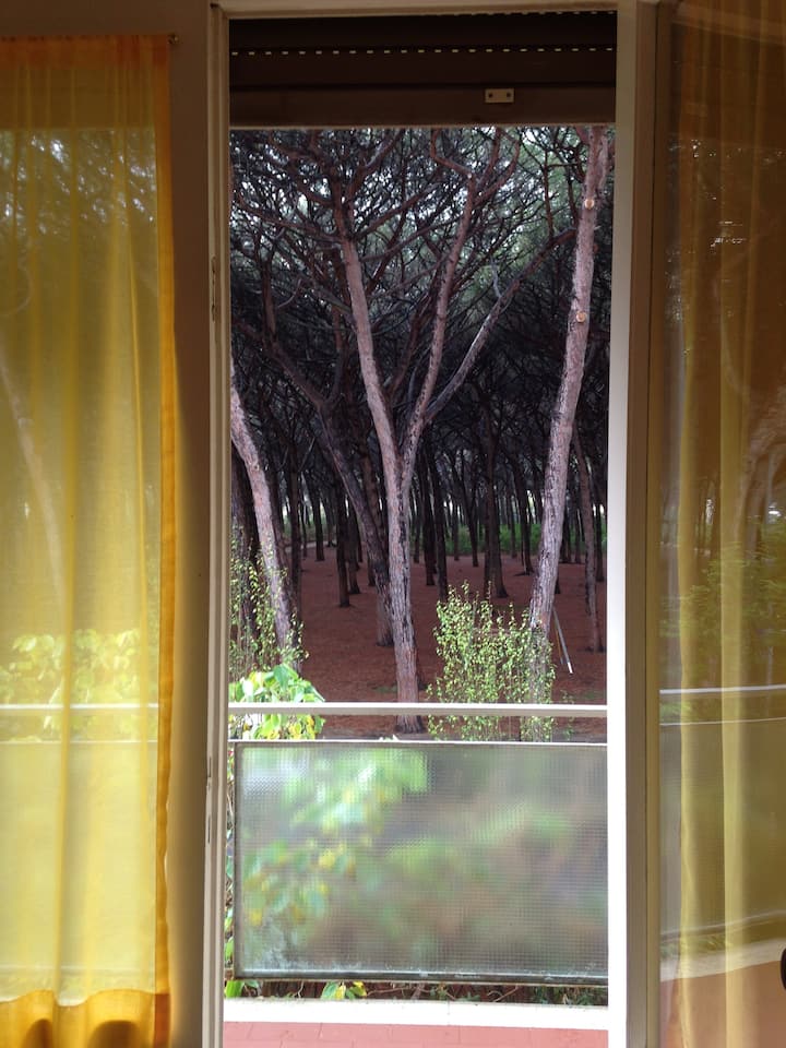 La Pineta Di Fronte, Il Mare A Due Passi - Cecina