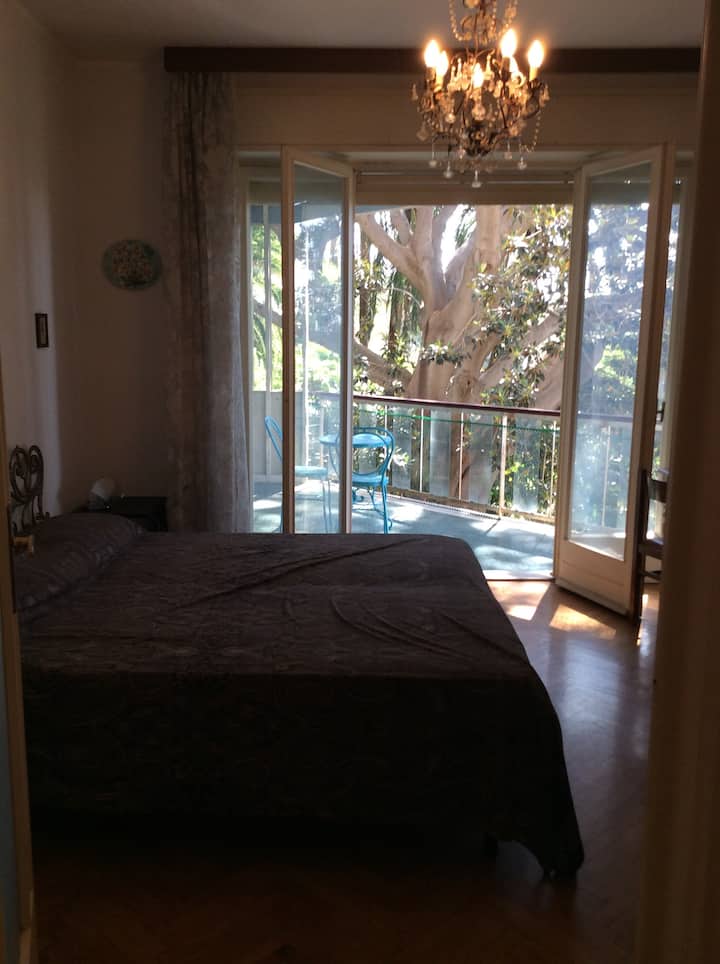 Le Magnolie Fronte Parco Ormond - 008055-lt-1469 - Ligurien