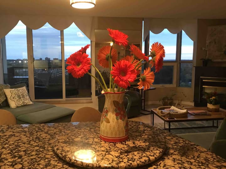 Luxury Exec Apt Top Floor (Long Term Ottawa South) - Ottawa