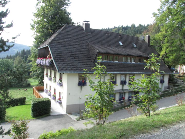 Gemütliche Kleine Wohnung Auf Zwei Ebenen - Hinterzarten