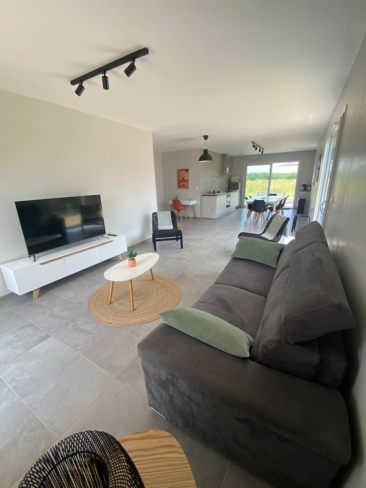 Maison Cosy 2 - Fronton - France