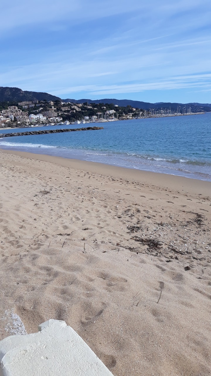 Studio En Bord De Mer - Le Lavandou