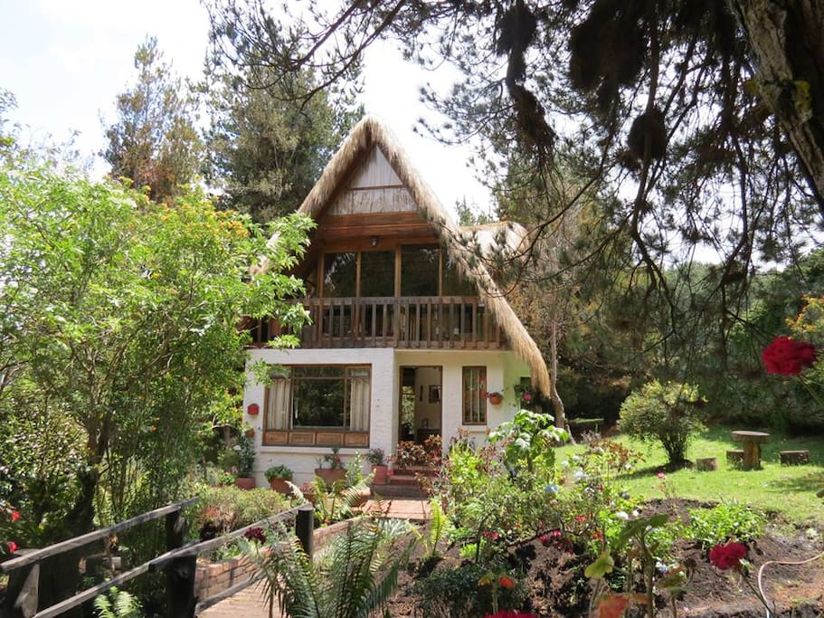 Espectacular cabaña rodeada de bosque de pinos - Chalets en alquiler en ...