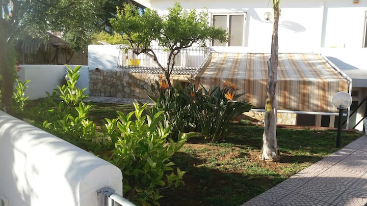 Magico Appartamento “Casa Vacanze Delle Vite “ - Sperlonga