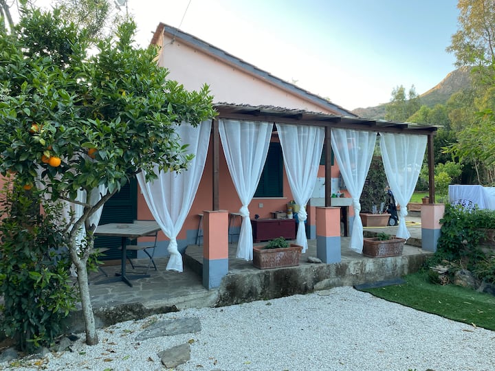 Appartamento Isola D'elba "Il Mandorlo" - Elba