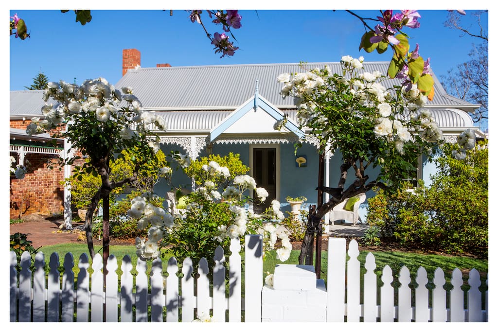 Beautiful sanctuary with tranquil gardens in Perth - Houses for Rent in ...