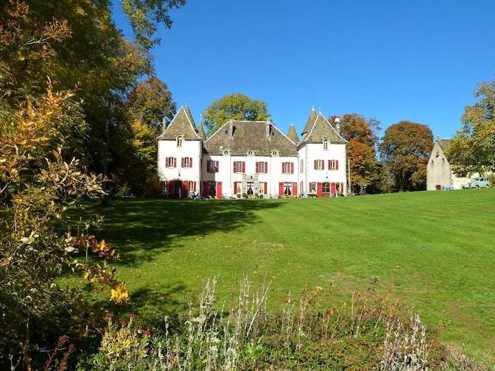 Château De Chazelles (Vue Puy De Sancy) - Chastreix