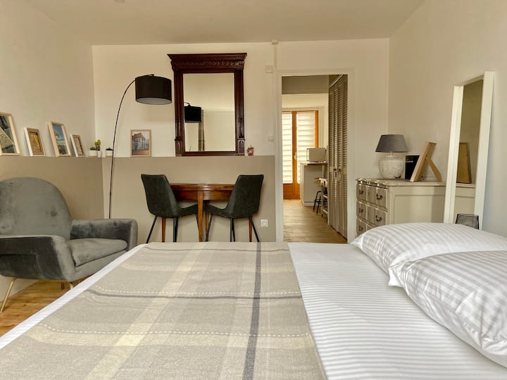 Le Charmant Bis : Centre Historique De Dijon - Dijon