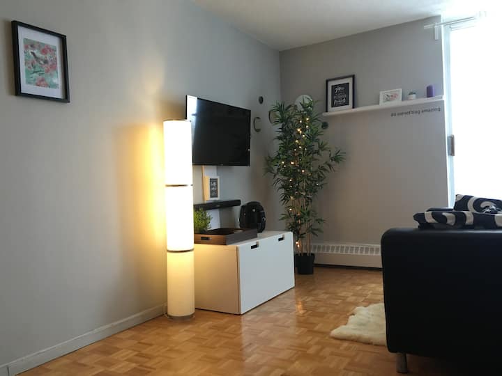 Cozy Apartment In Verdun Montreal - Montreal