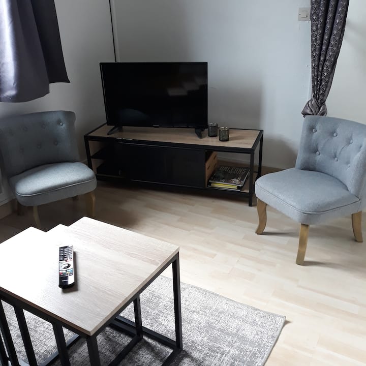 Agréable Appartement T2 Entre Loire Et Loiret - Orléans
