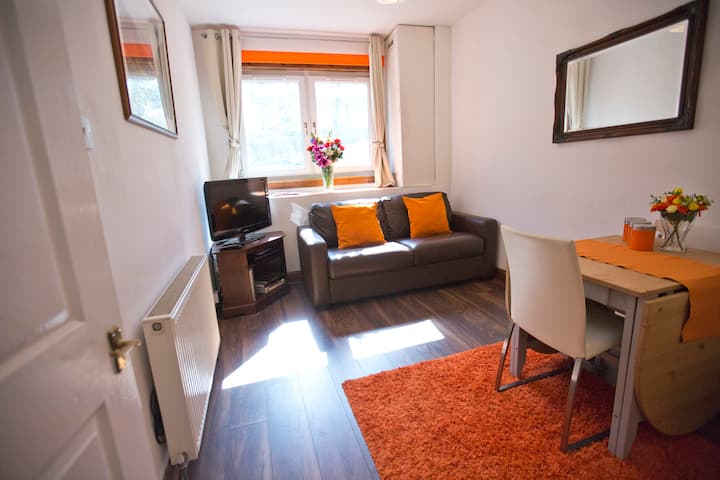 Charming Duplex Apartment - Edinburgh