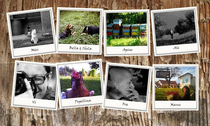 El Pajon, Stanza Con Un Letto - Ponte Nelle Alpi