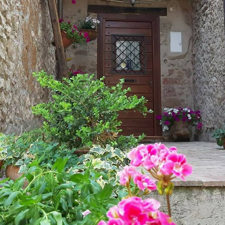 Rupe Antica, Stanza Doppia - Valmontone