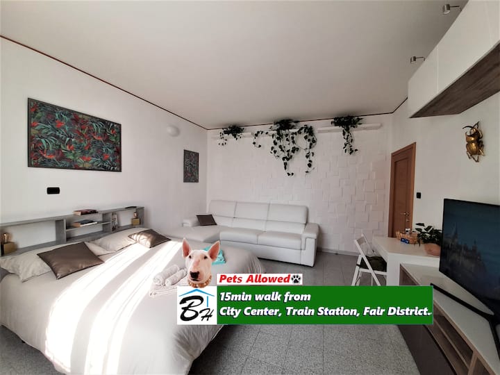 Mary & Nello's B&b, Green Room - Bologne