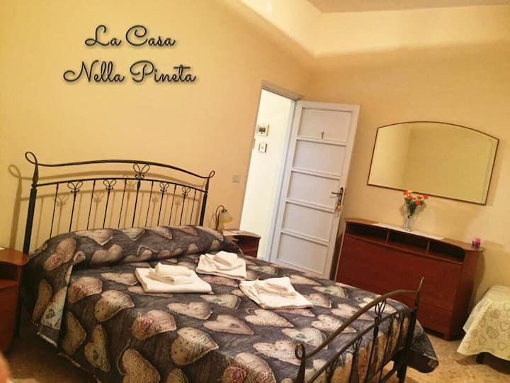 La Casa Nella Pineta - Mondragone