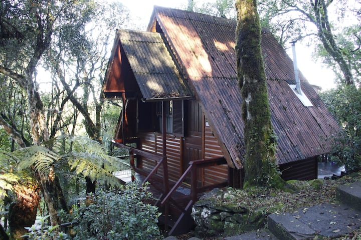 Recanto Da Mata Pousada, Quarto Duplo 1 - São Francisco de Paula