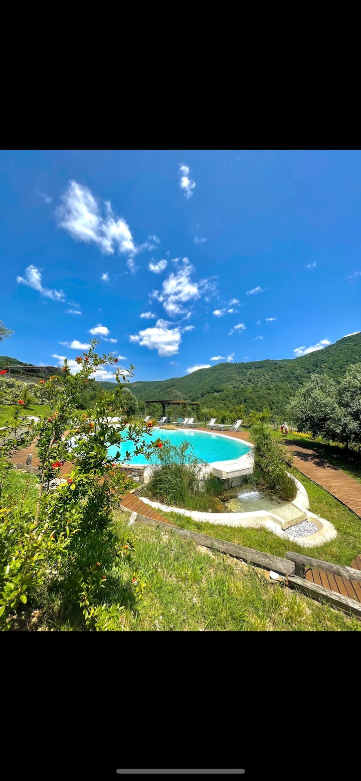B&b Di Sabrina, Stanza Due Letti - Cilento