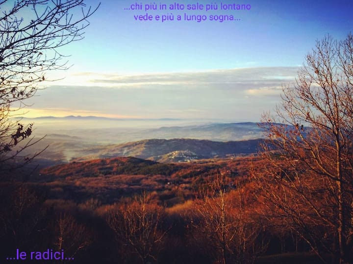 Luce D'amiata, Stanza Con Letto Queen-size - Monte Amiata