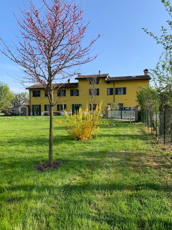 B&b Di Sara, Suite Room - Crema