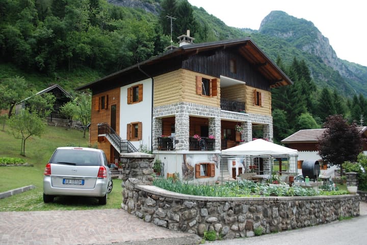 Genziana, Stanza Stella Alpina - Friuli-Venezia Giulia