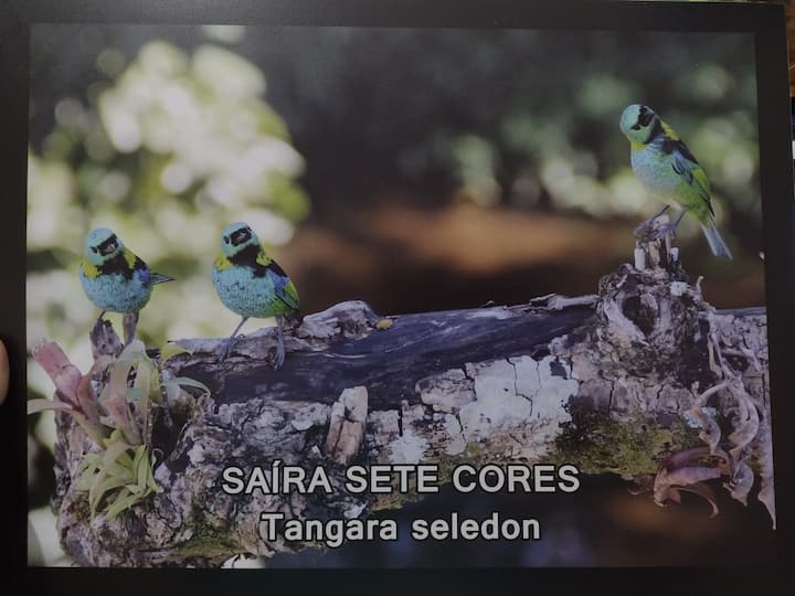 Recanto Saracura, Quarto Familiar 2 - Trindade